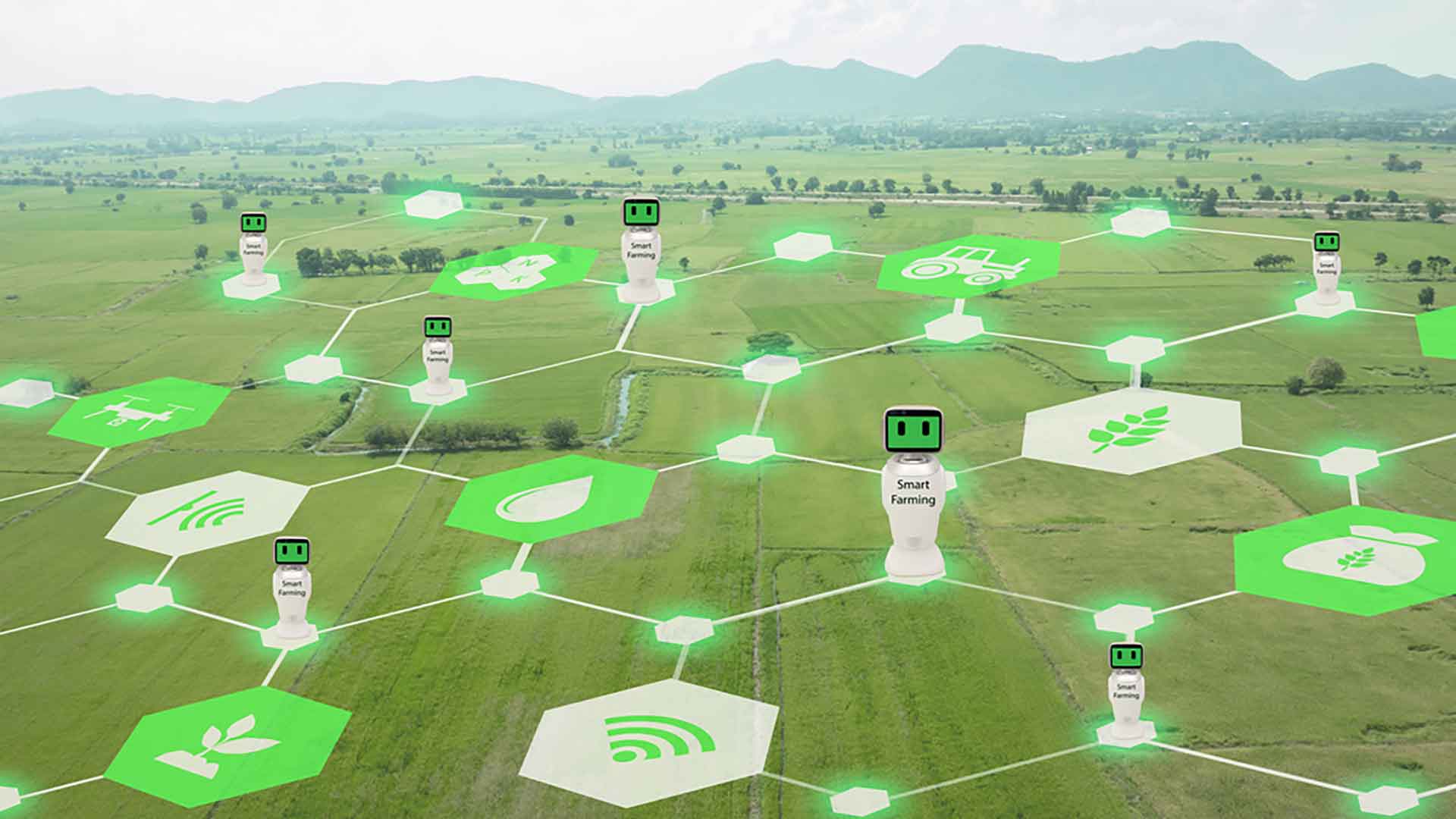 How IoT And AI Reduce Food Waste | Imperium How IoT And AI Reduce Food Waste | Imperium